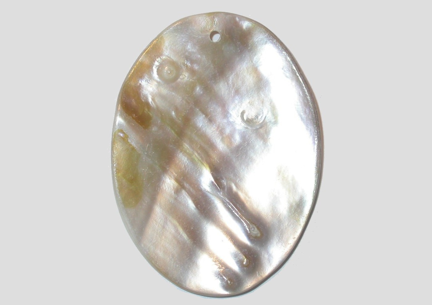 Shell Oval – Double Sided – 50 x 40mm – Bead, Trimming & Craft Co